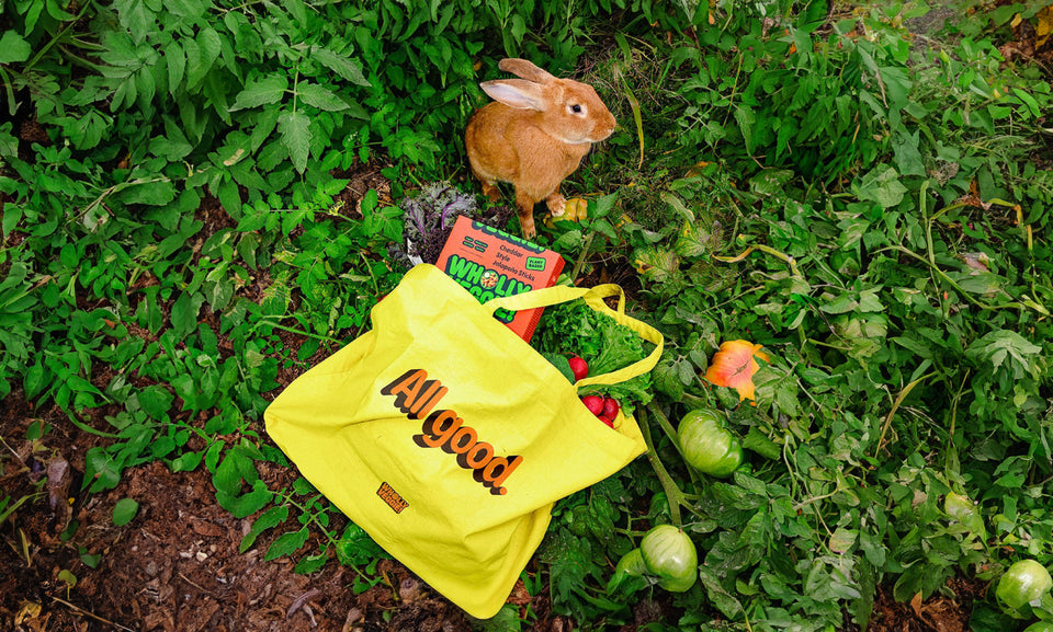 The Definitive Pangram List — A tool for every graphic designers ...