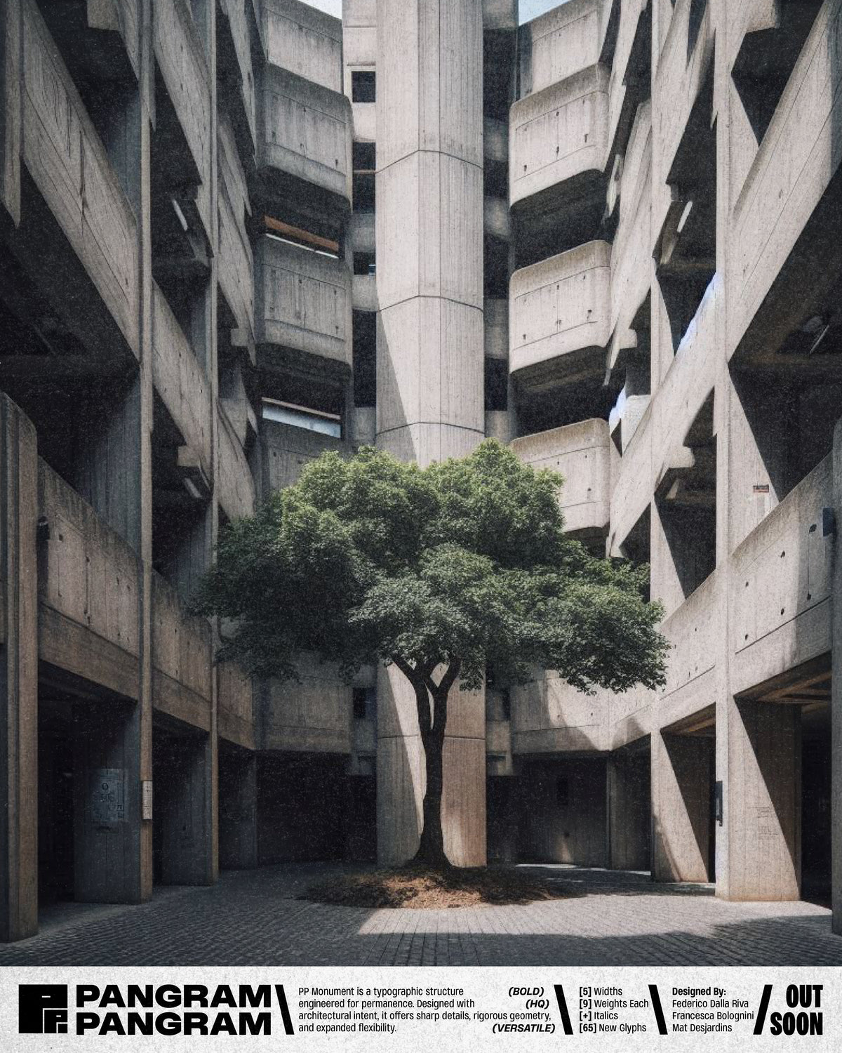 Explore All our Free-to-try Fonts | The Full Pangram Pangram® Type ...