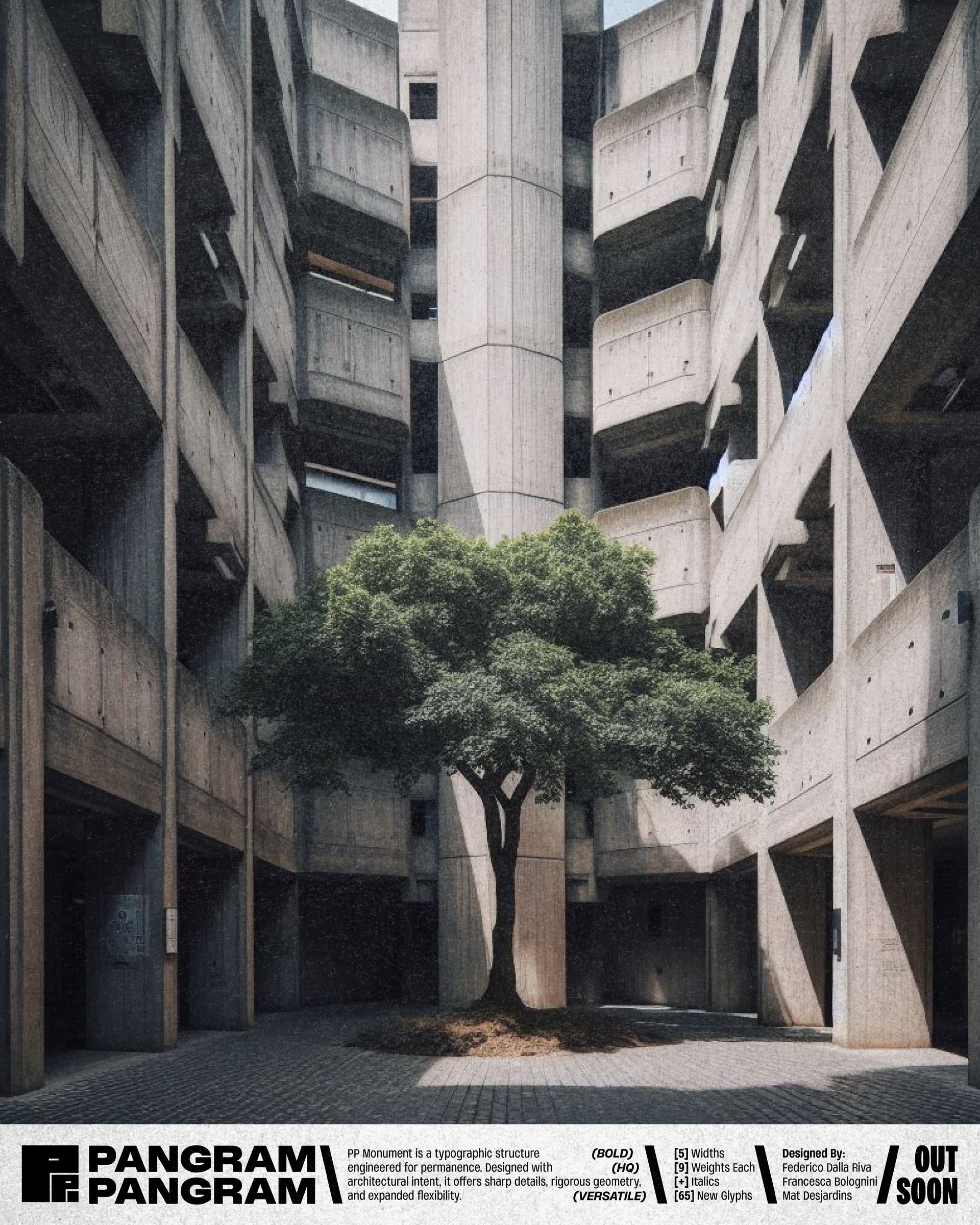 Explore All our Free-to-try Fonts | The Full Pangram Pangram® Type ...