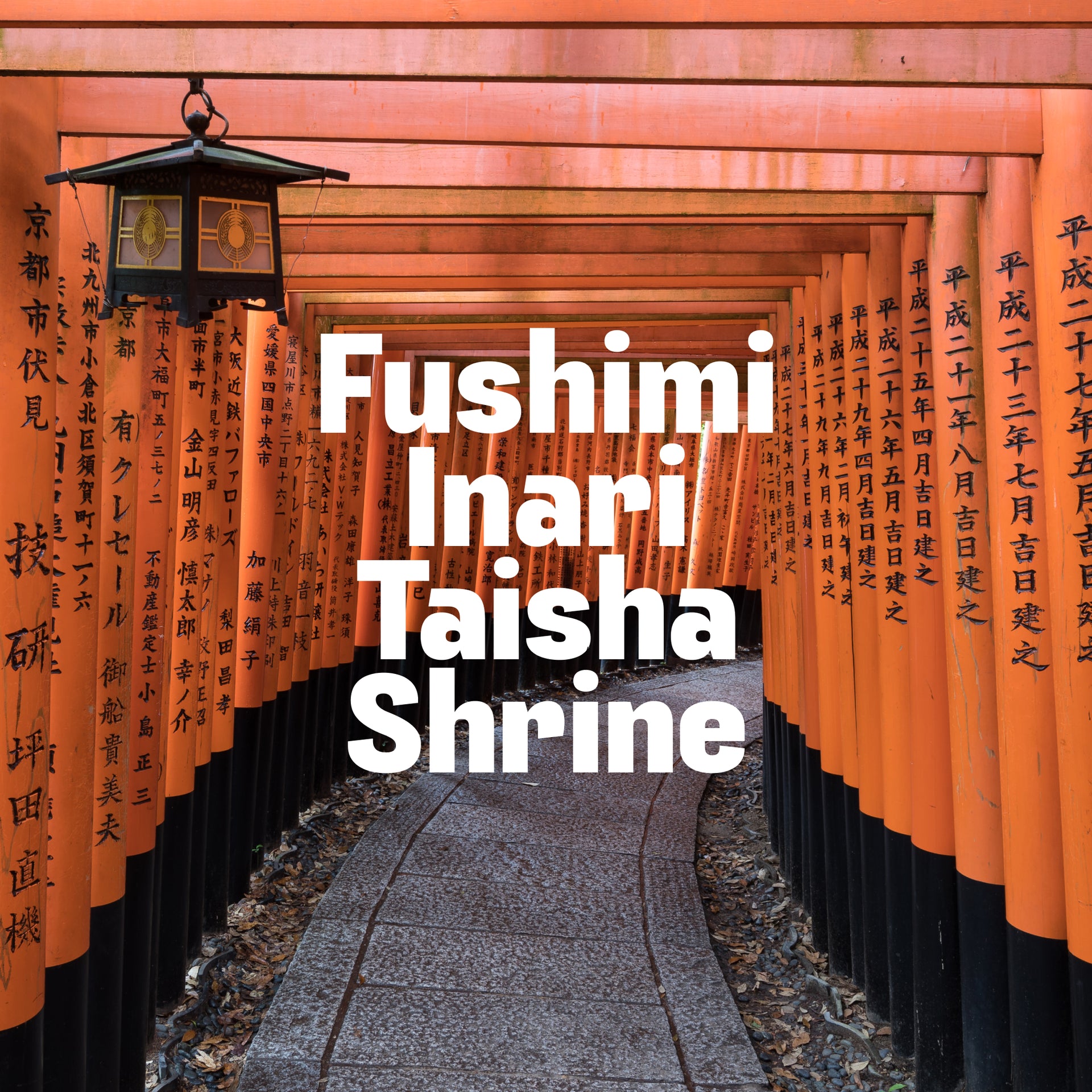 Fuji Sans - A Slightly Condensed Sans Font - Free to Try – Pangram ...