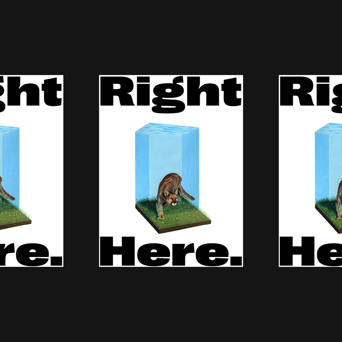 Right Grotesk - Famille Compact Text - Essai gratuit avec 14 styles ...