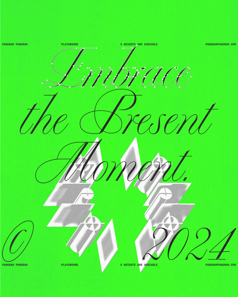 PP Playground - Contemporary an calligraphic script - Free to Try Font ...
