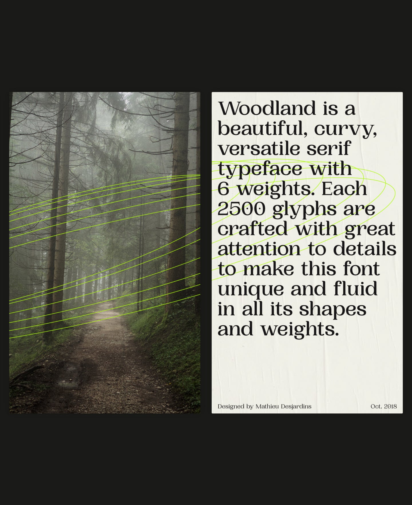 Woodland - A curvy and versatile font with 6 weights - Free to Try ...